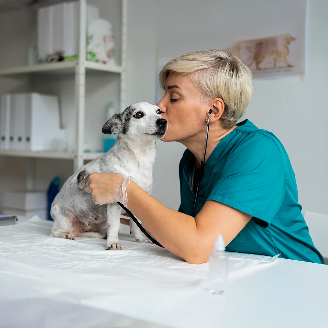 About Us | Davis Pet Hospital